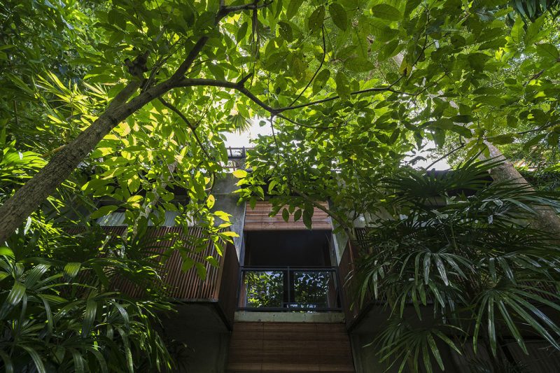 Landscape Project - SHL Asia